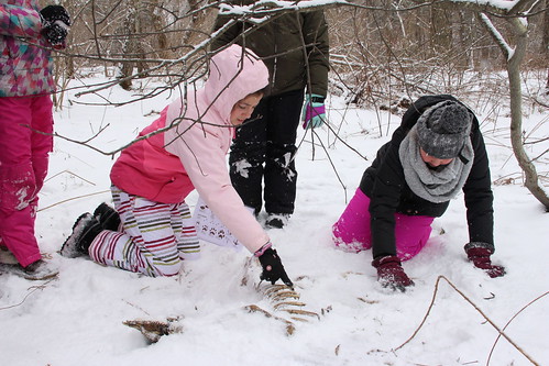 Audubon winter camp set for Mondays January 17, 24 | News, Sports, Jobs ...